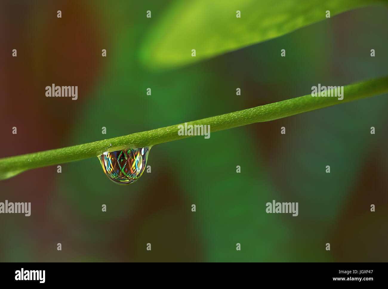 Colorful images hi-res stock photography and images - Alamy