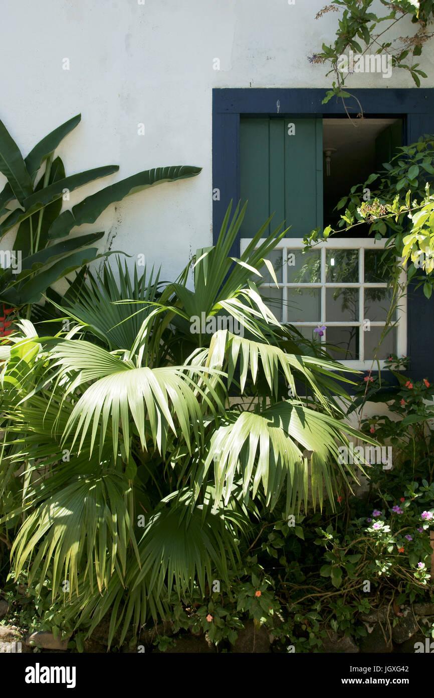 Garden, Plants, Paraty, Rio de Janeiro, Brazil Stock Photo - Alamy