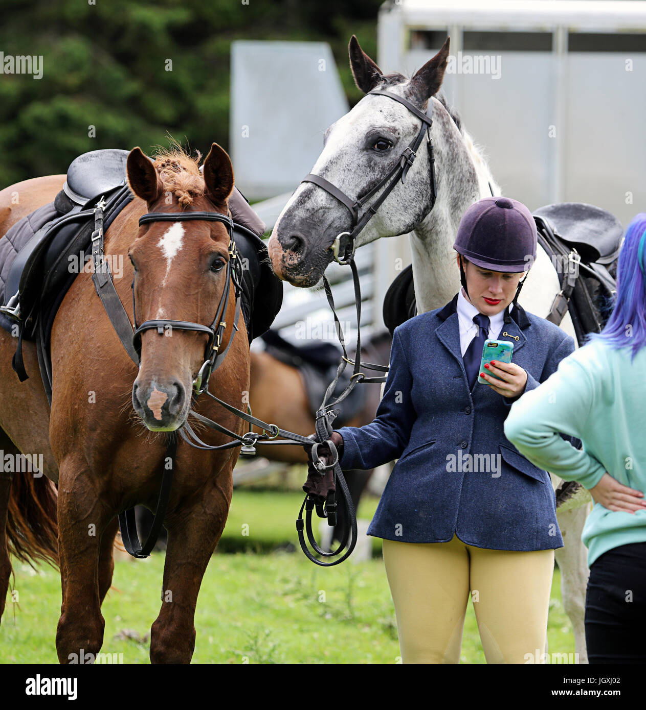 Horse rider being distracted at ellimford stop over scottish borders hi ...