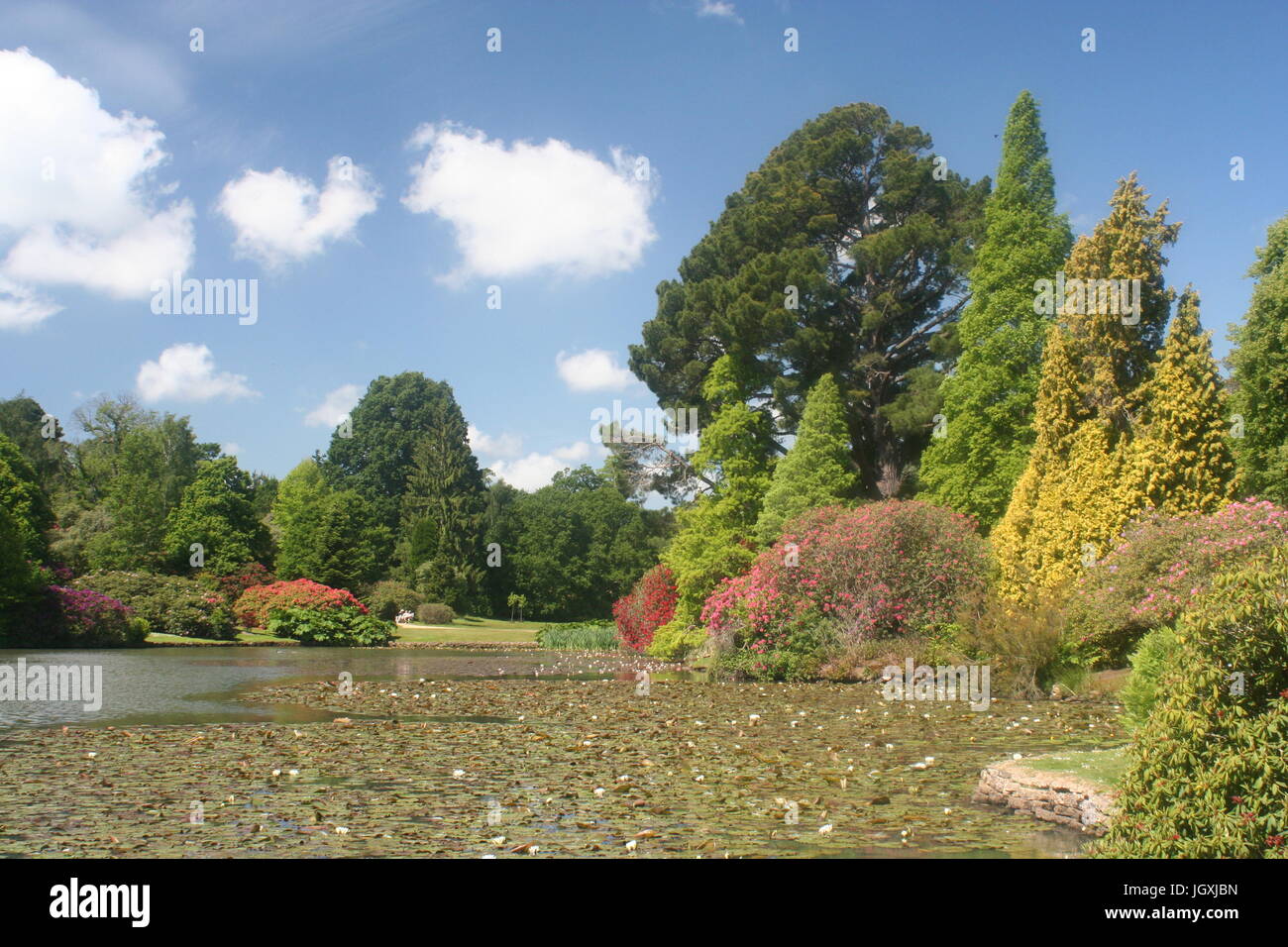 Sheffield park sussex spring hi-res stock photography and images - Alamy