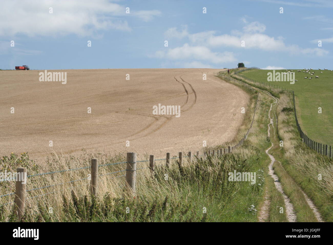 The Downs Link Stock Photo - Alamy