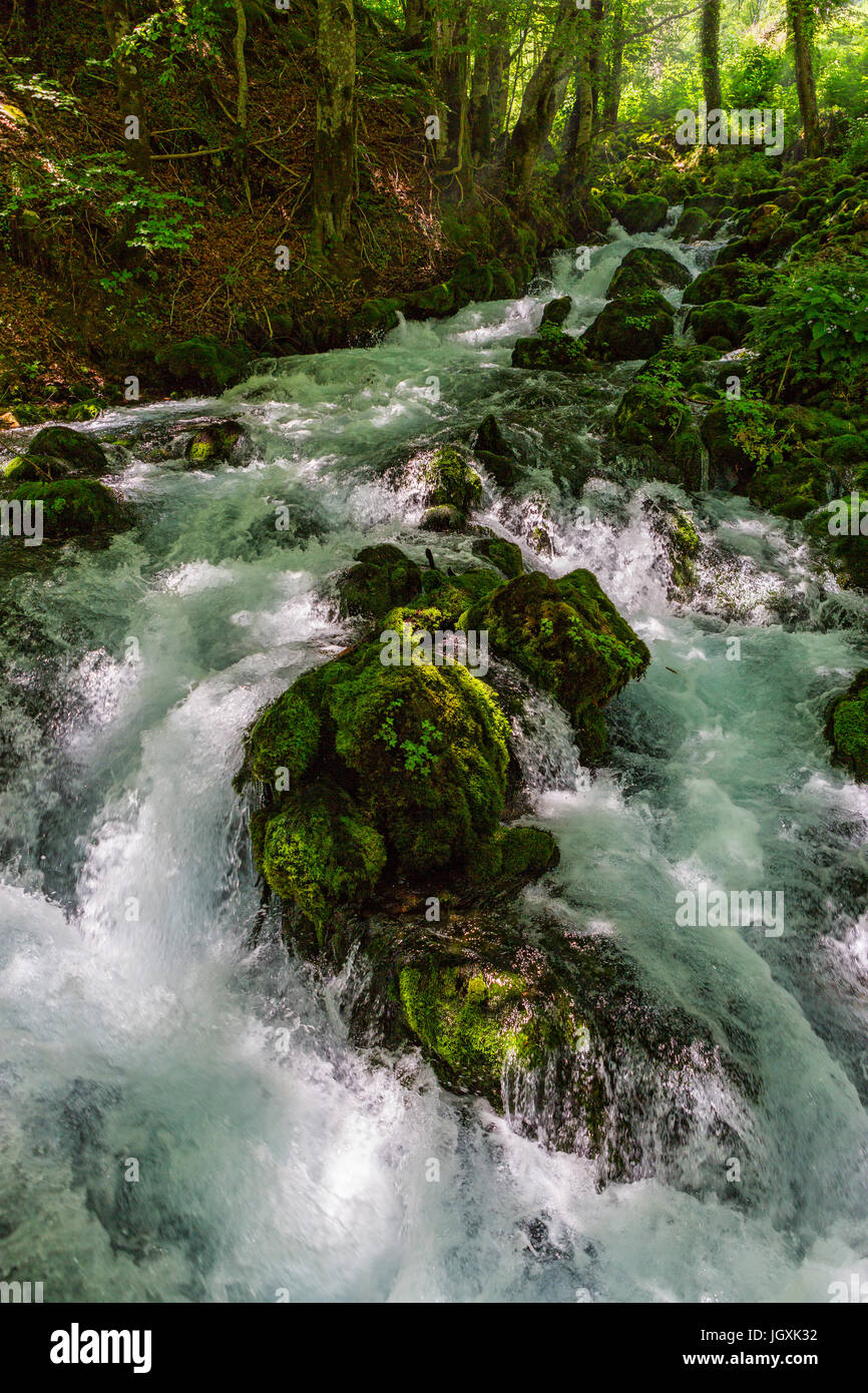 Mountain river in the forests of Montenegro Stock Photo - Alamy