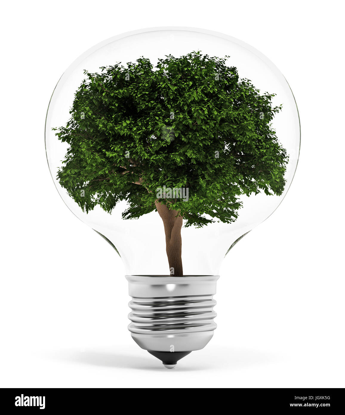 Tree standing inside the lightbulb isolated on white background. 3D ...