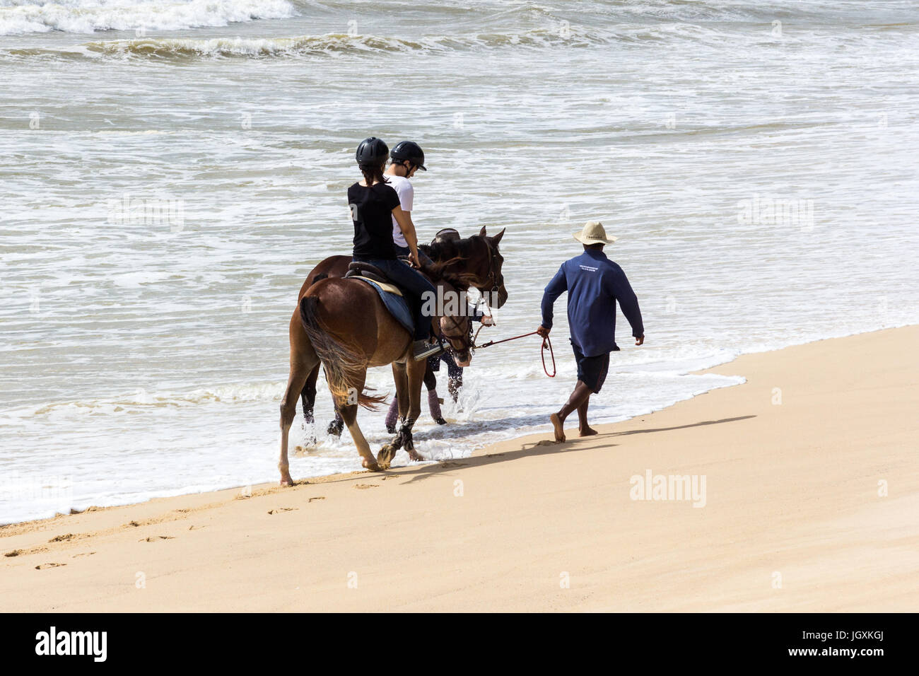 Beach pony hi-res stock photography and images - Alamy