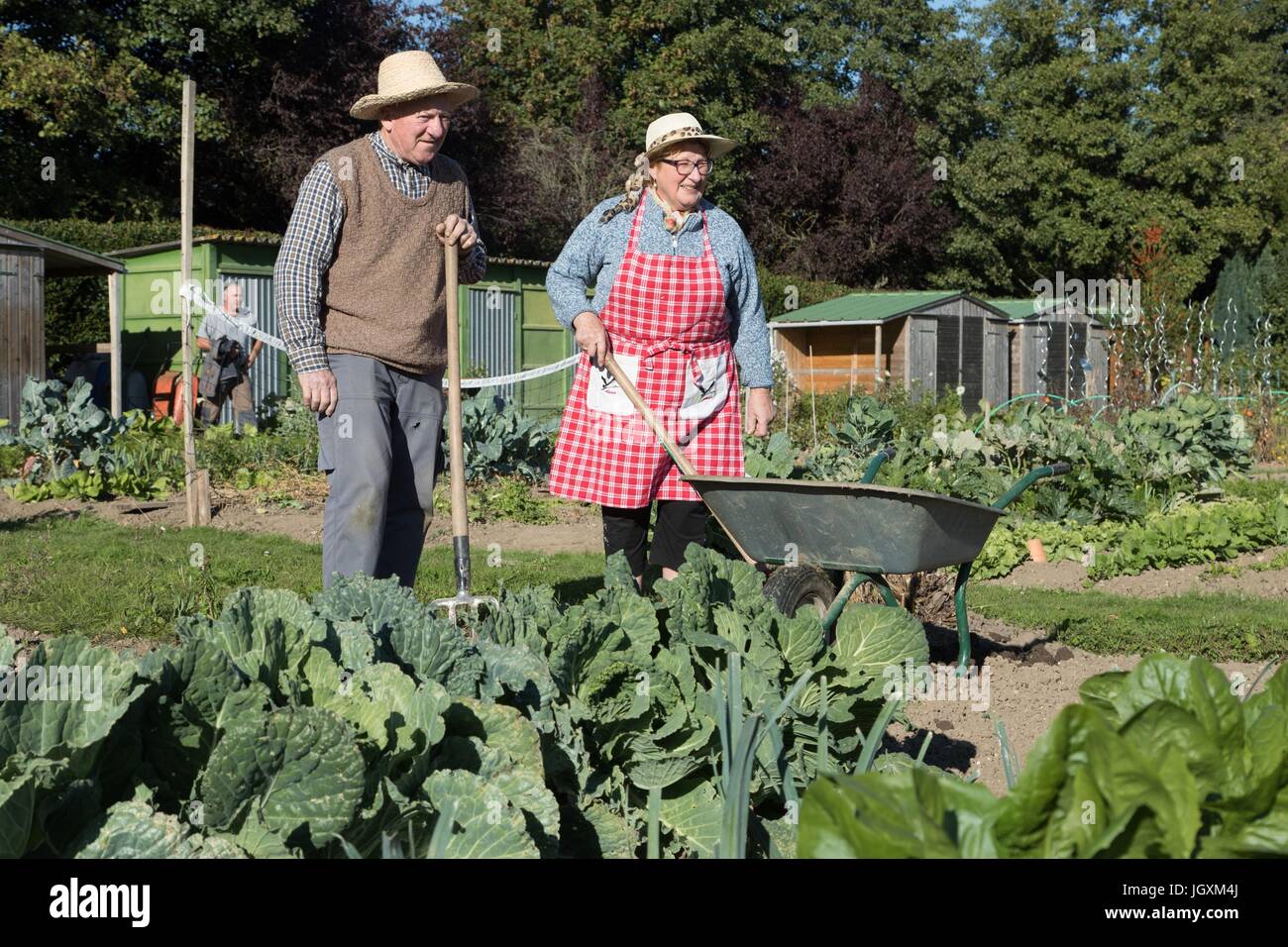 THE LIFE OF ELDERLY PEOPLE Stock Photo - Alamy