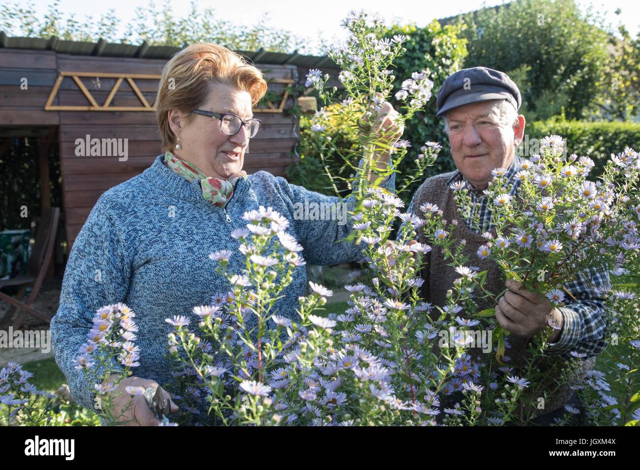 THE LIFE OF ELDERLY PEOPLE Stock Photo - Alamy