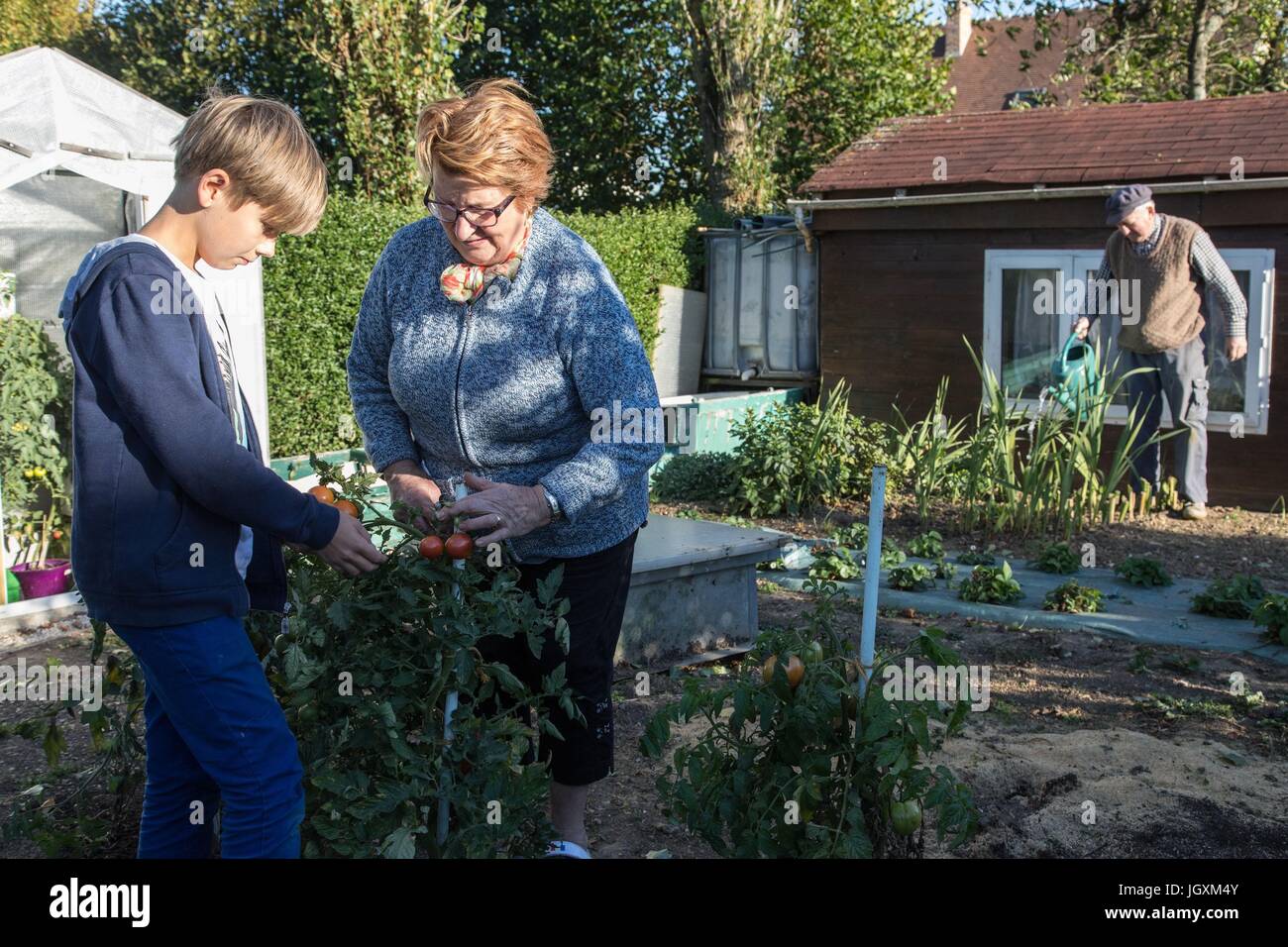 THE LIFE OF ELDERLY PEOPLE Stock Photo - Alamy