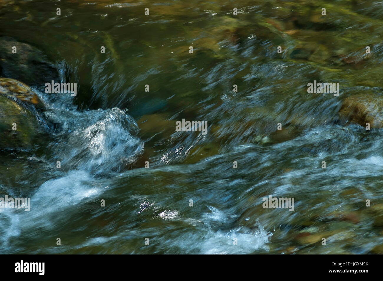 Beautiful motion blurred water stream landscape in the summer close up ...