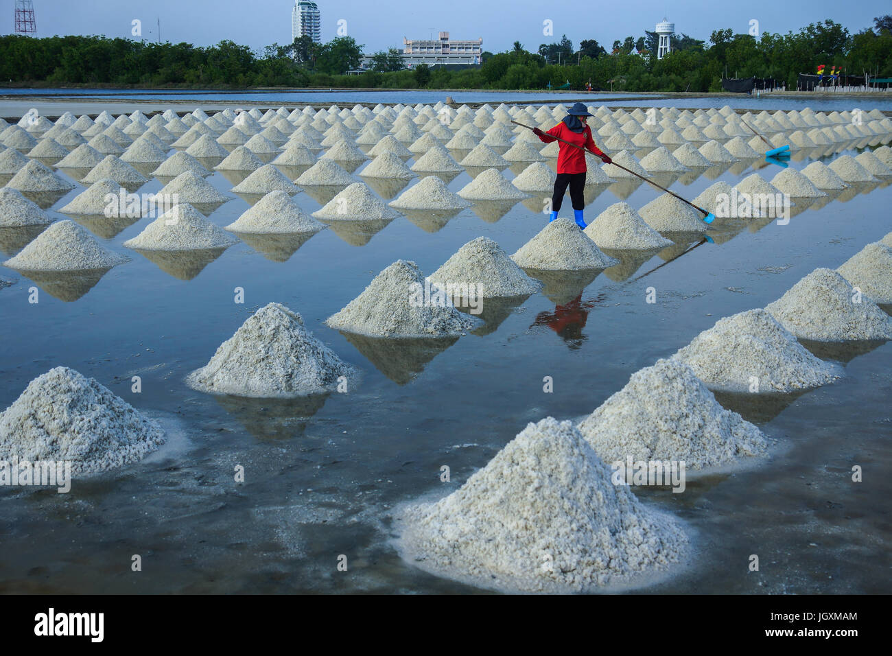 The production of salt in the field Stock Photo - Alamy