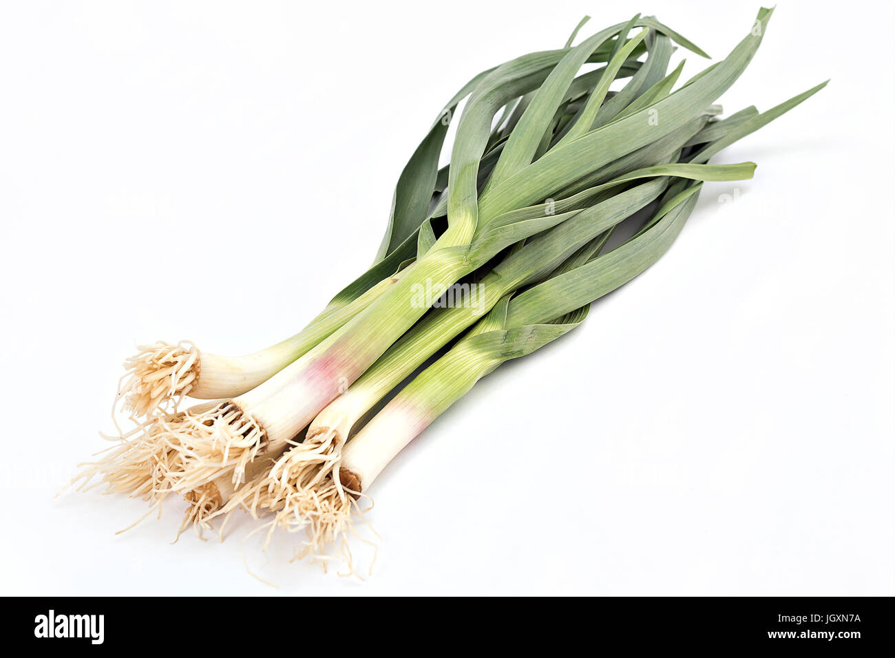 Young green garlic isolated on white background Stock Photo - Alamy