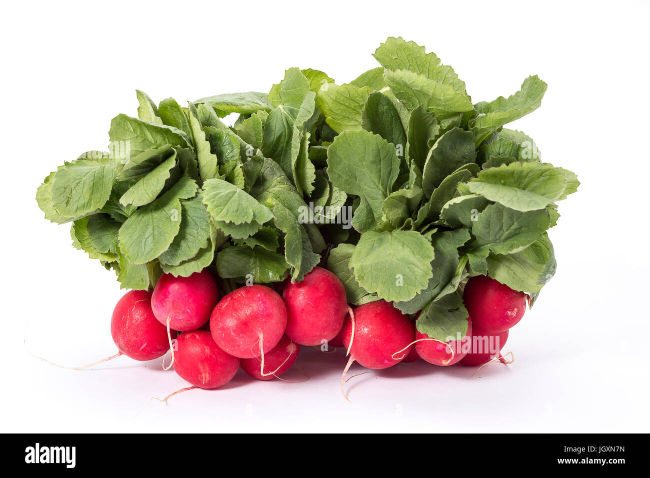 Small garden radishes isolated on white background Stock Photo - Alamy