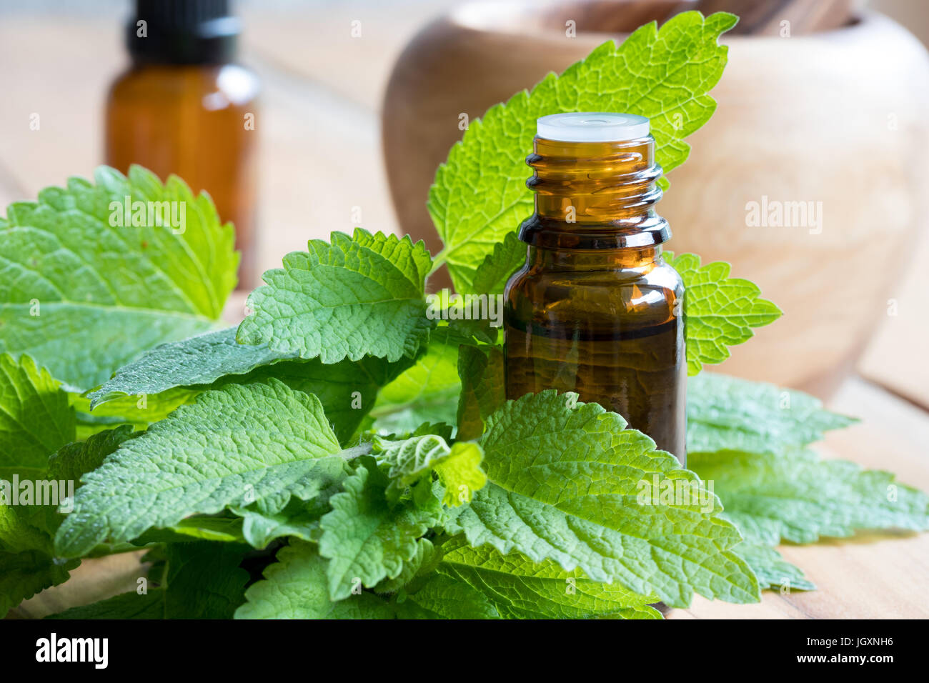 Melissa (lemon balm) essential oil - a bottle with fresh melissa leaves ...
