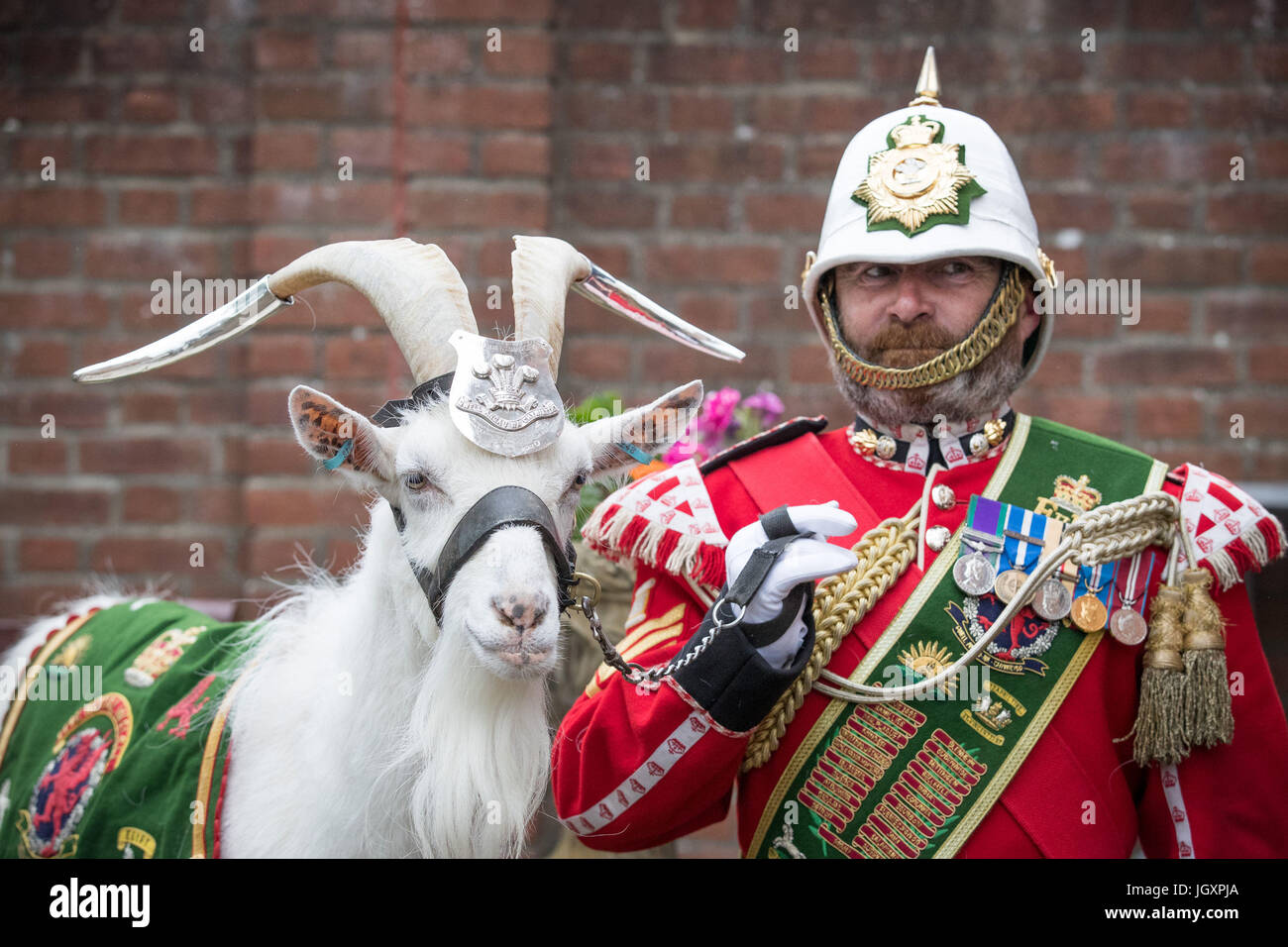 Shenkin the mascot of the Third Battalion, Royal Welsh and his handler ...
