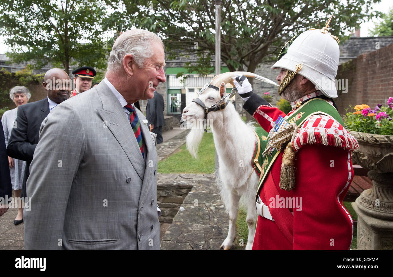 Royal welsh mascot hi-res stock photography and images - Alamy