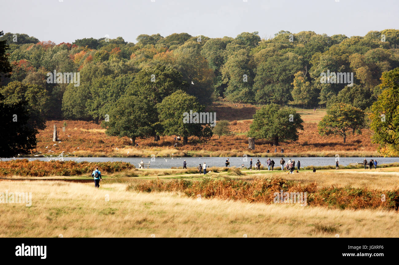 Landscape of Richmond Park, it is the largest park of the royal parks ...