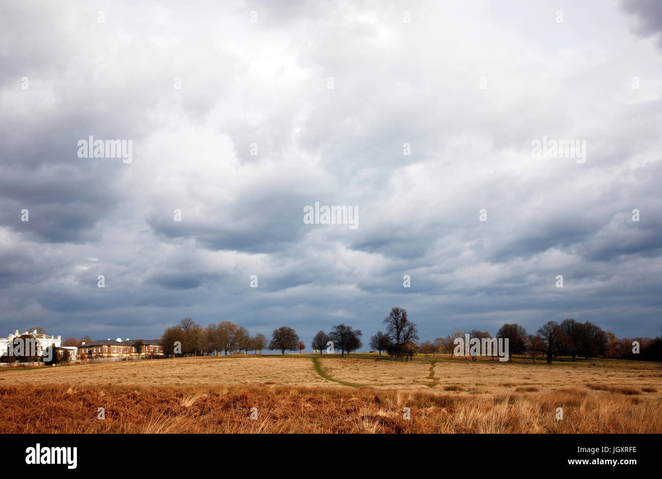 Landscape of Richmond Park, it is the largest park of the royal parks ...