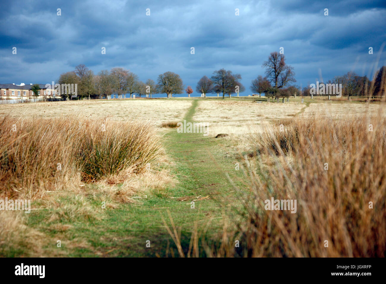 Landscape of Richmond Park, it is the largest park of the royal parks ...
