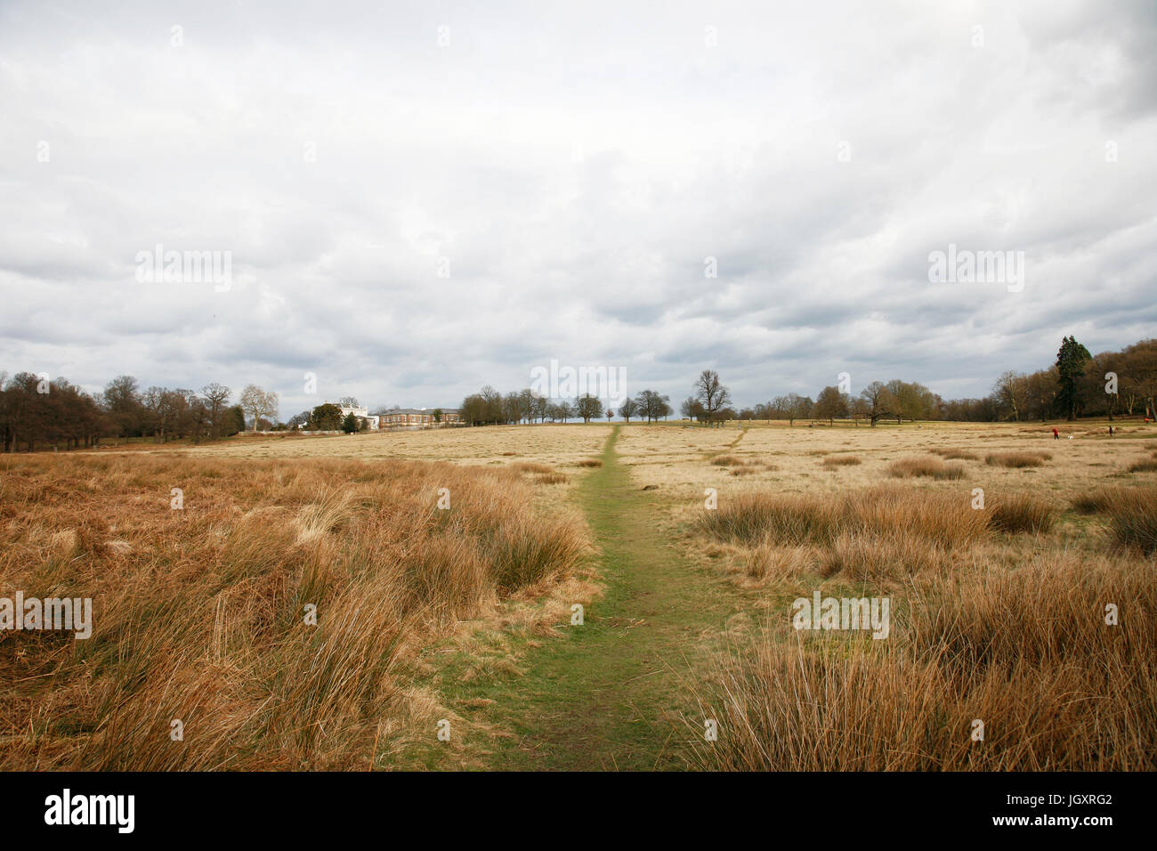 Landscape of Richmond Park, it is the largest park of the royal parks ...