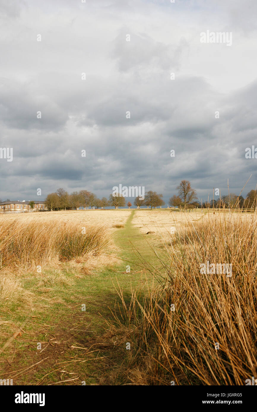 Landscape of Richmond Park, it is the largest park of the royal parks ...