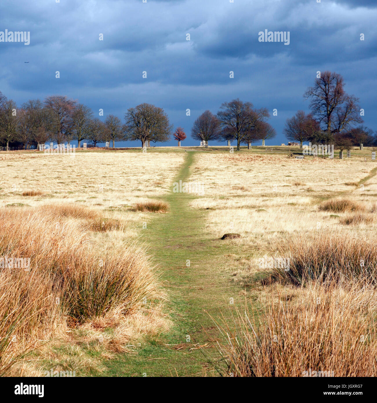 Landscape of Richmond Park, it is the largest park of the royal parks ...