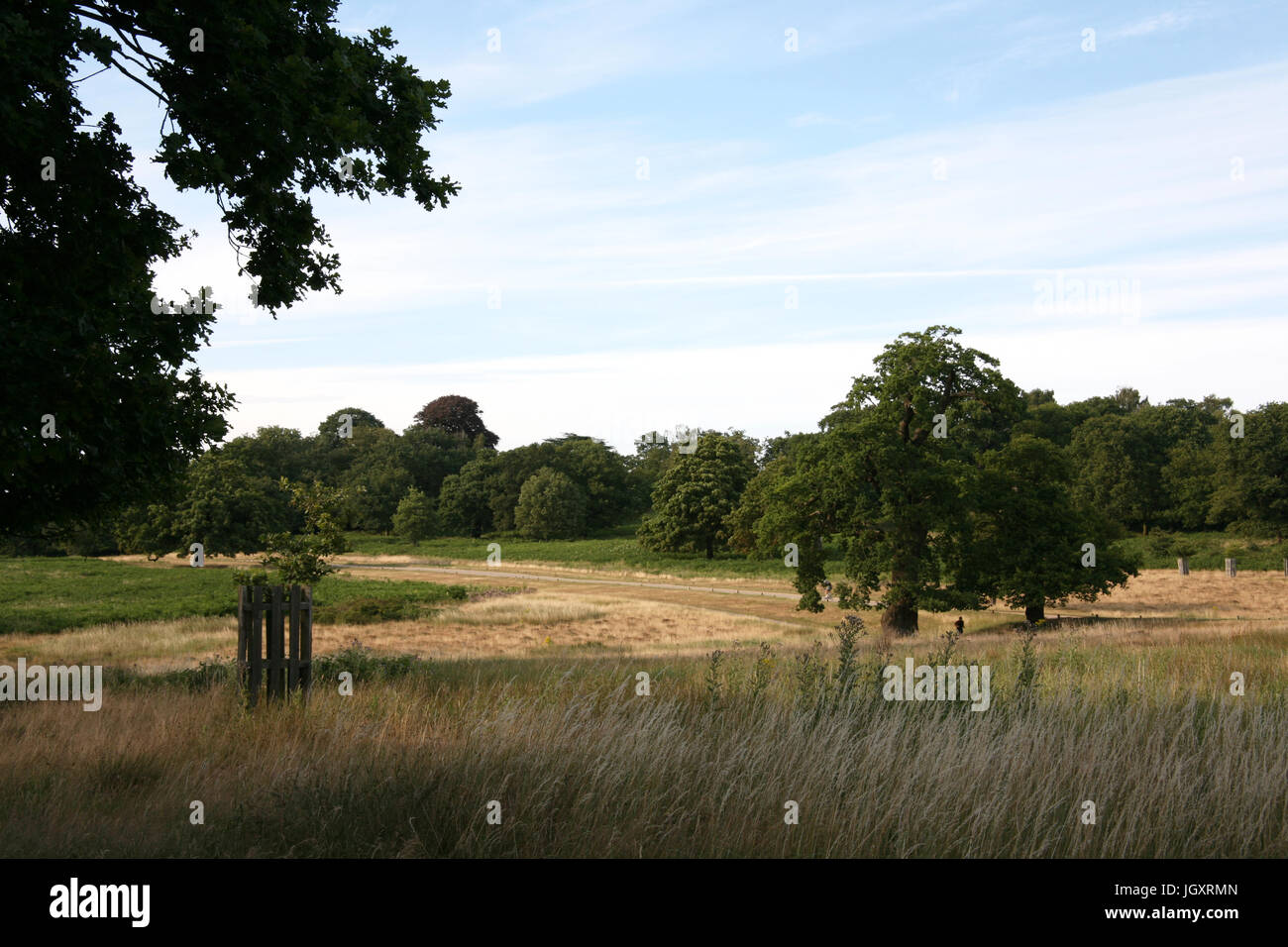Landscape of Richmond Park, it is the largest park of the royal parks ...