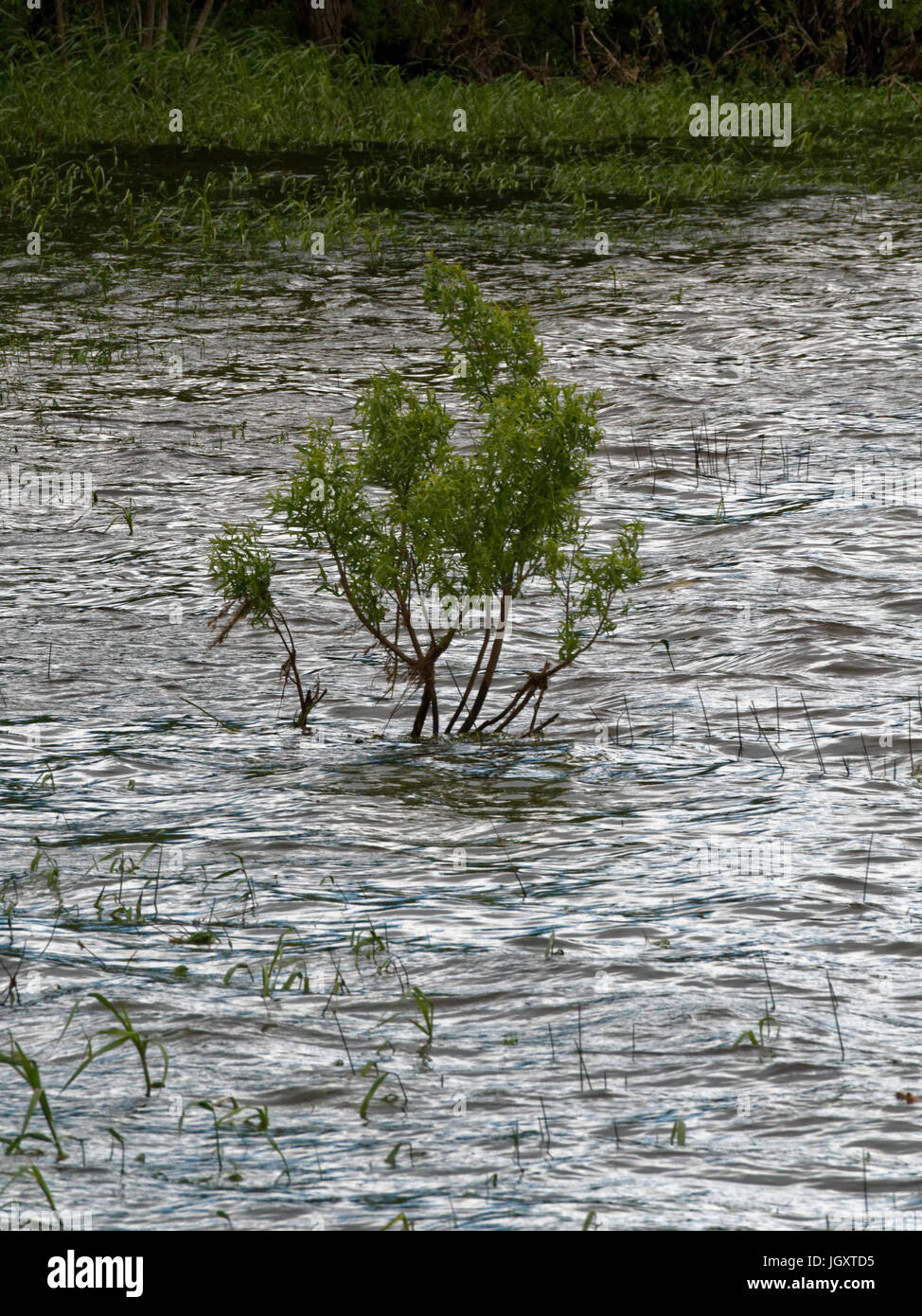 Water flood effect hi-res stock photography and images - Alamy