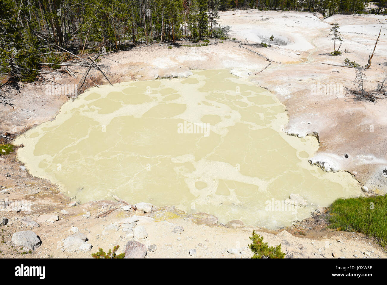 Sulphur Caldron, Yellowstone National Park, is at the edge of one of ...