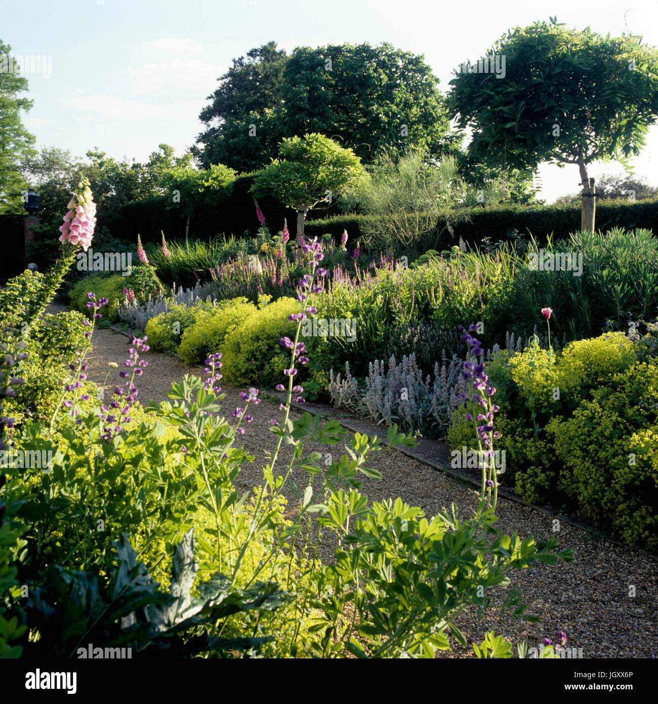 Flowers in a Georgian style garden Stock Photo - Alamy