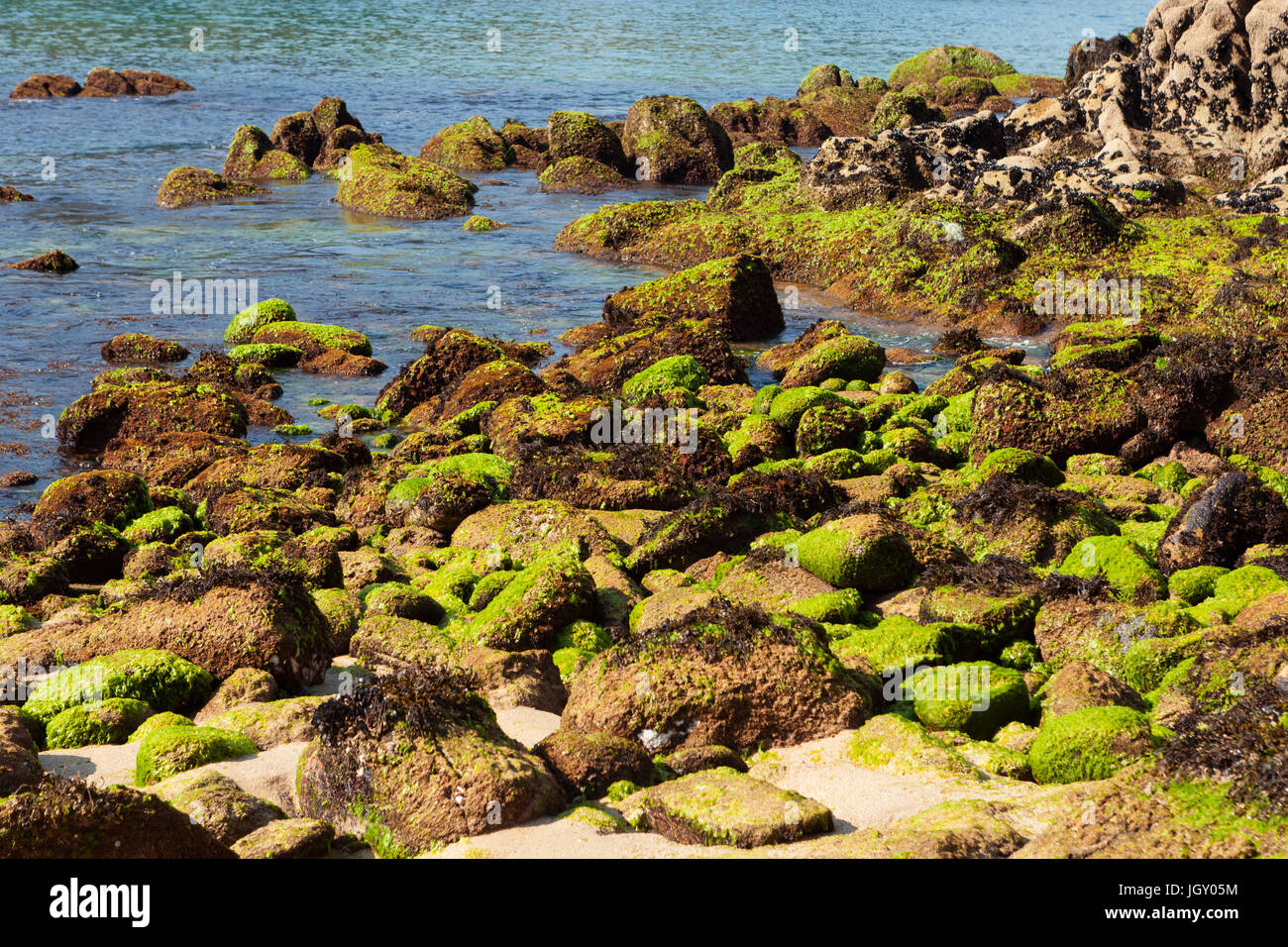 Natural beach with green rocks. A beautiful landscape Stock Photo - Alamy