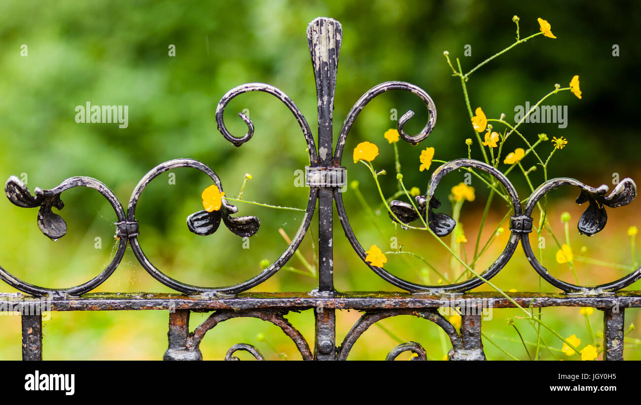 Decorative wrought ironwork hi-res stock photography and images - Alamy