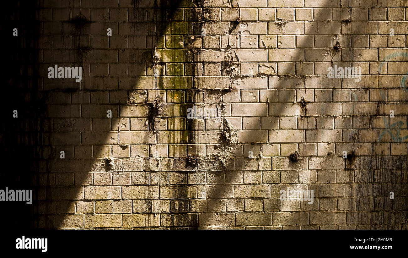 Shadows shadow brick wall hi-res stock photography and images - Alamy