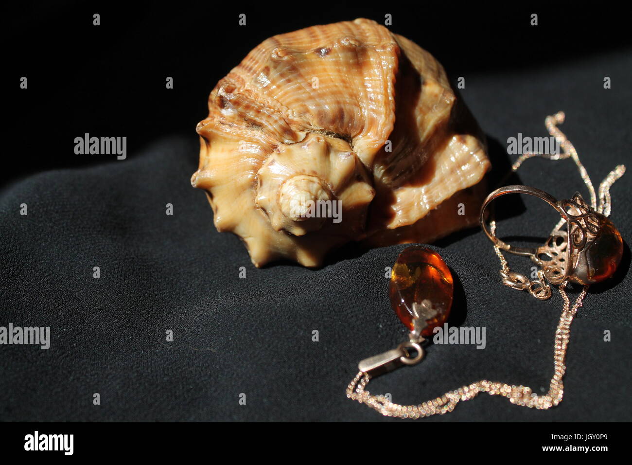 beautiful accessories from shine gold and warm amber stone for power ...