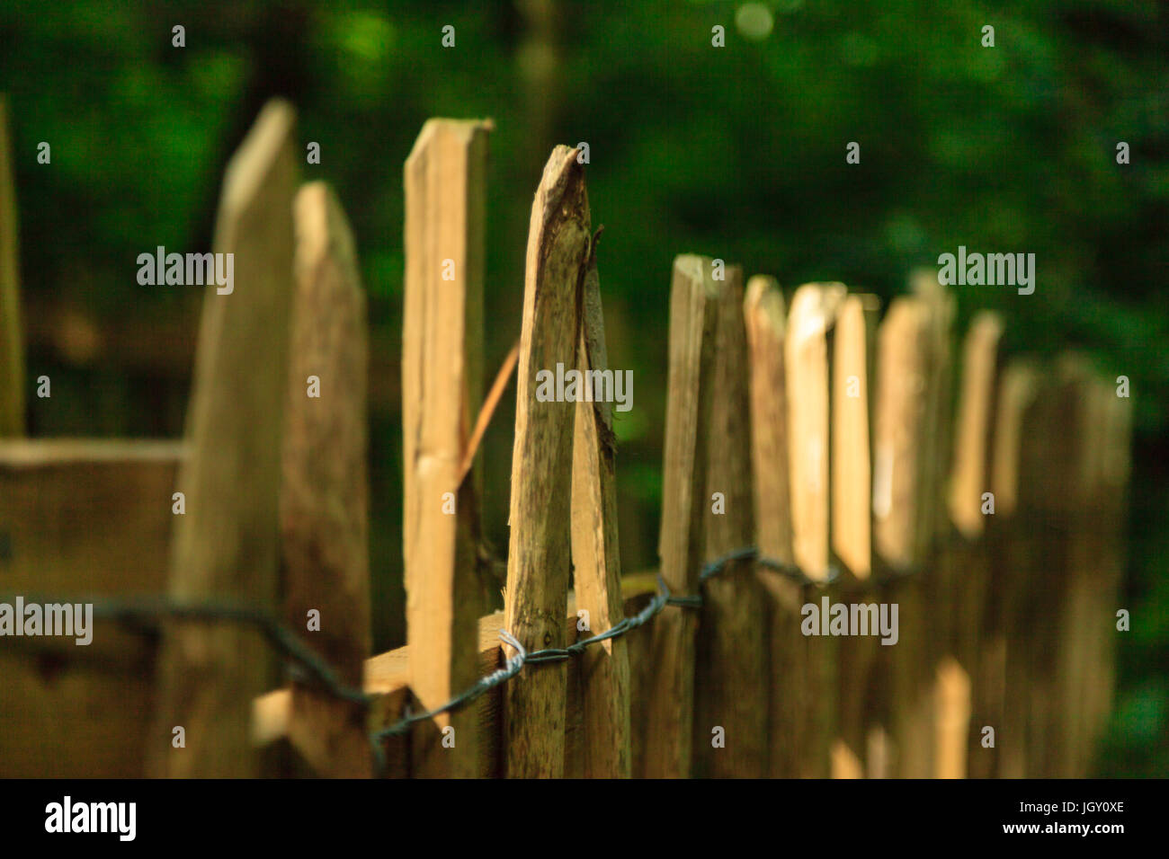 Out of focus depth of field hi-res stock photography and images - Alamy