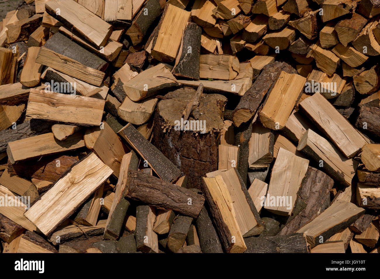 log buried under cutted pieces of firewood Stock Photo - Alamy