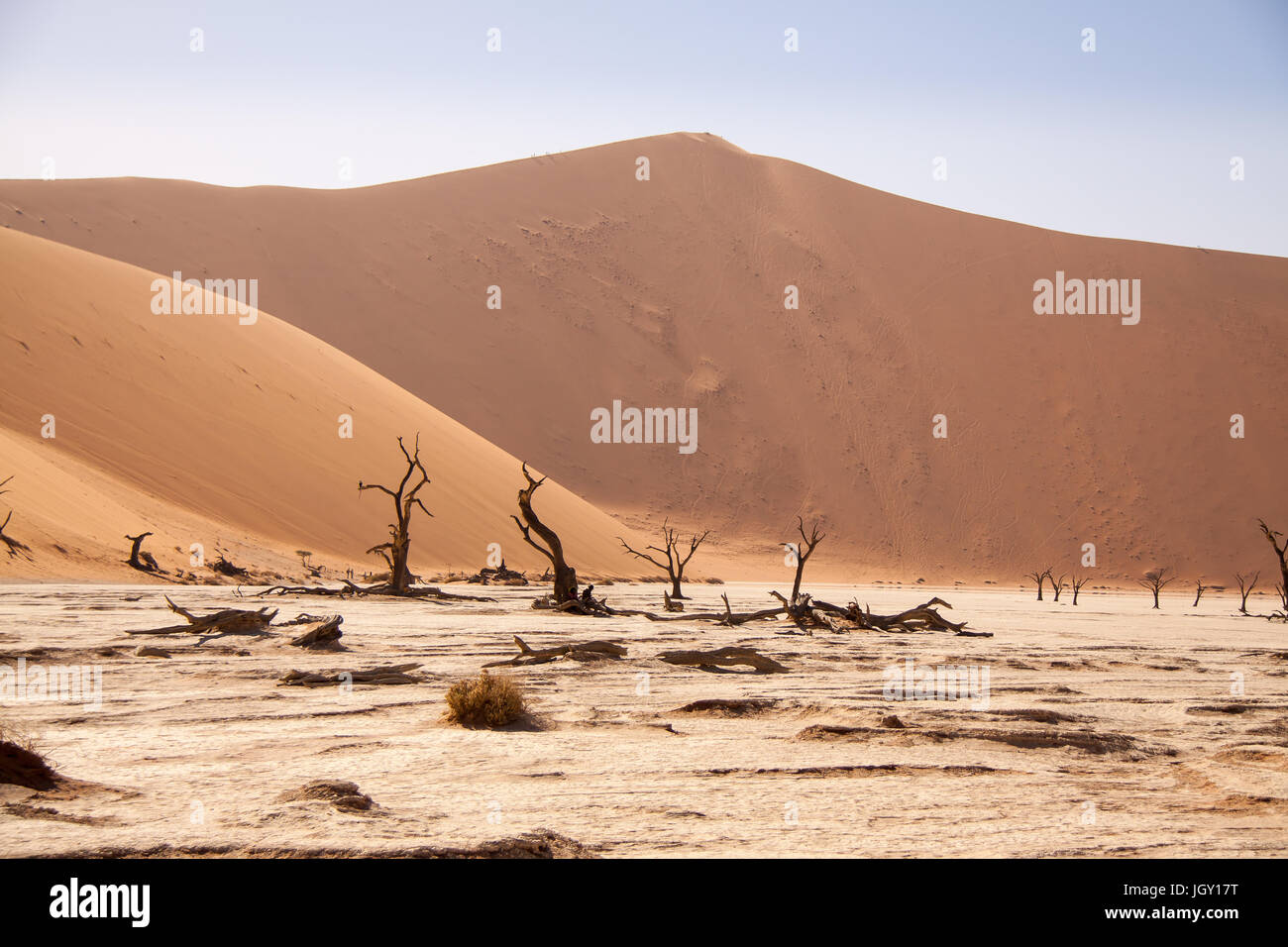 Dead Trees in Deadvlei, Namib Desert, Namibia Stock Photo - Alamy