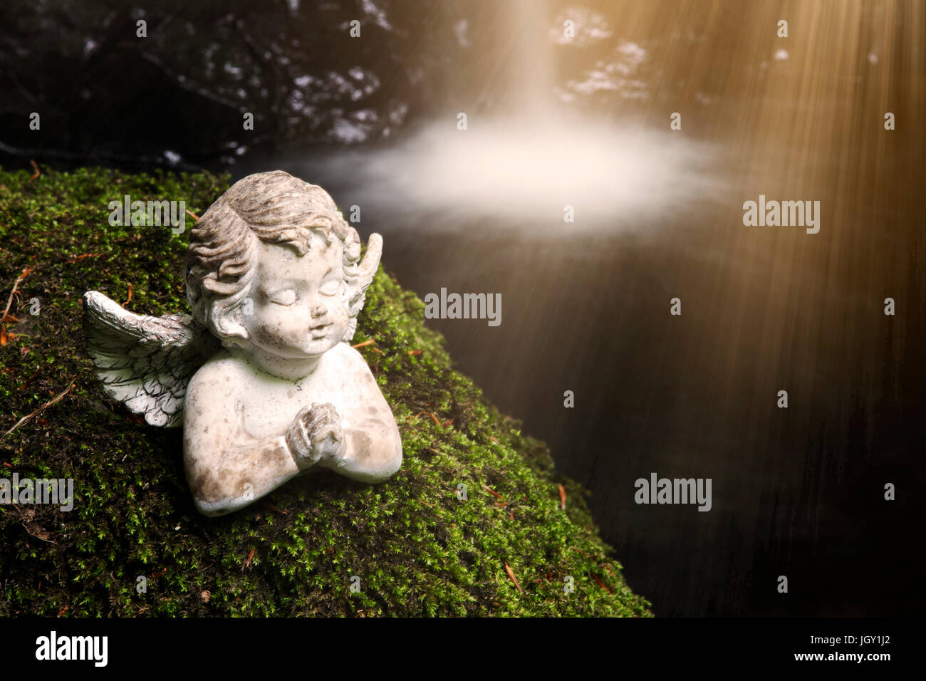 Angel in vegetation hi-res stock photography and images - Alamy