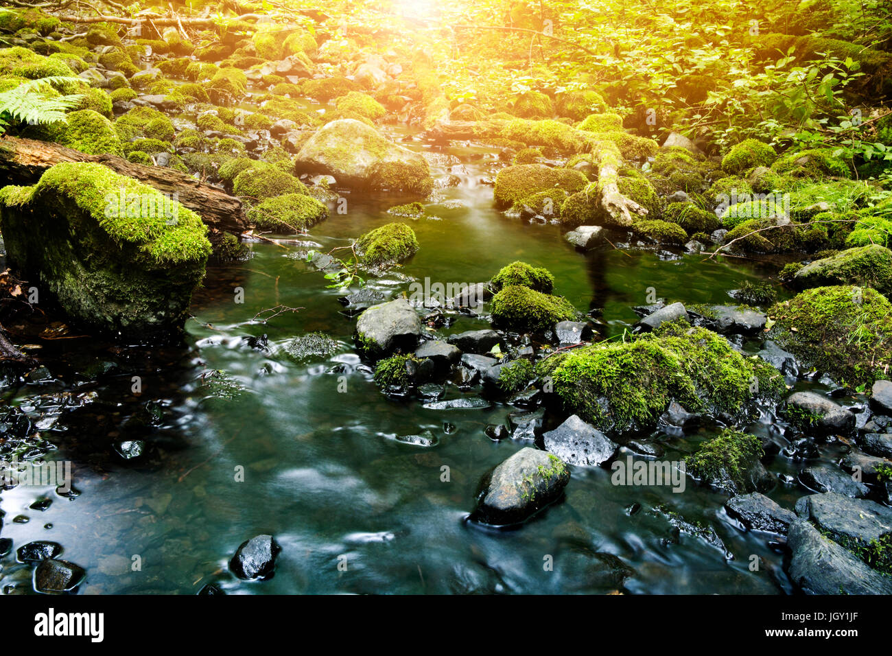 Slow motion landscape running river hi-res stock photography and images ...