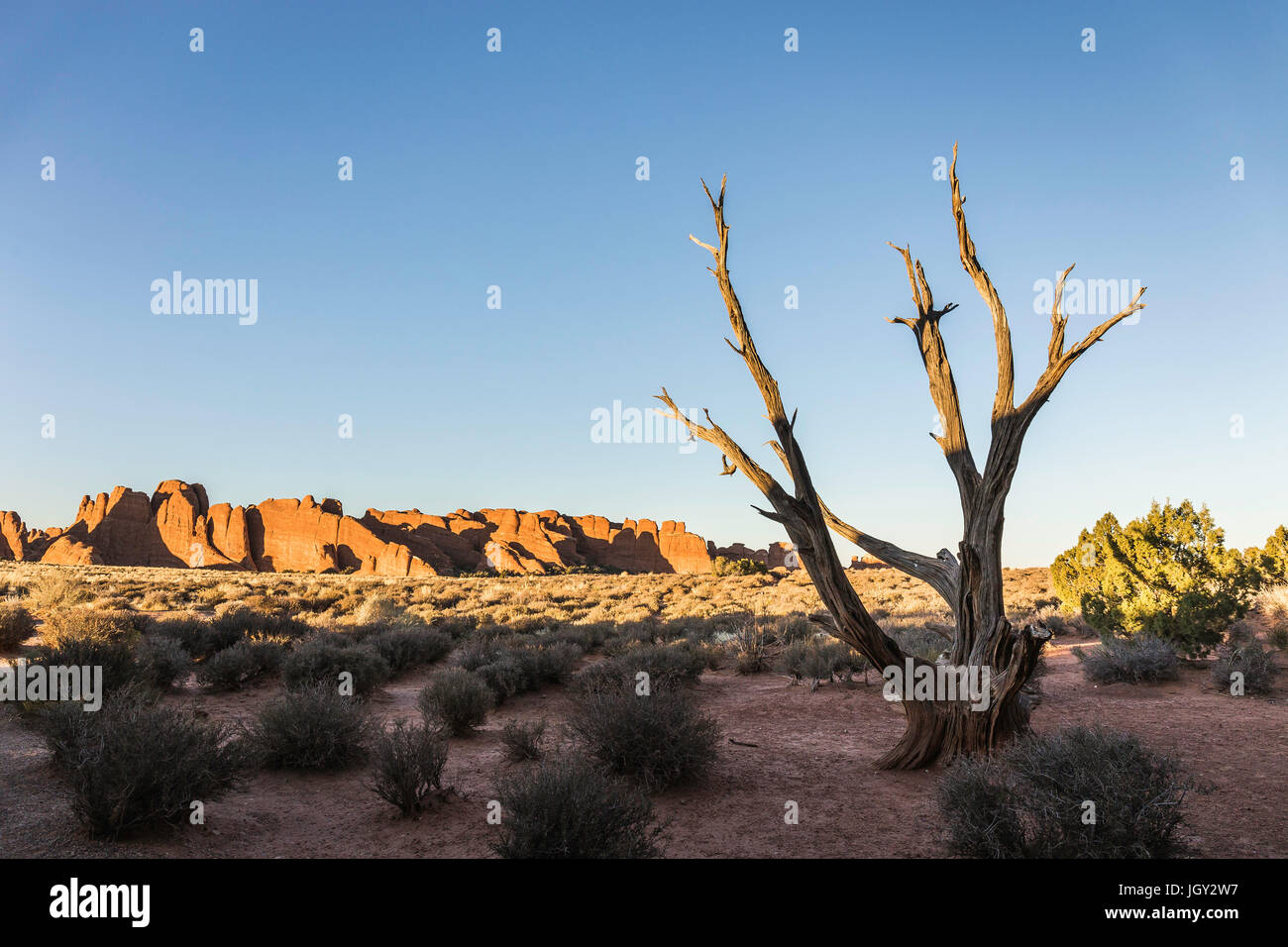 Rock formation, Arches National Park, Moab, Utah, USA Stock Photo - Alamy