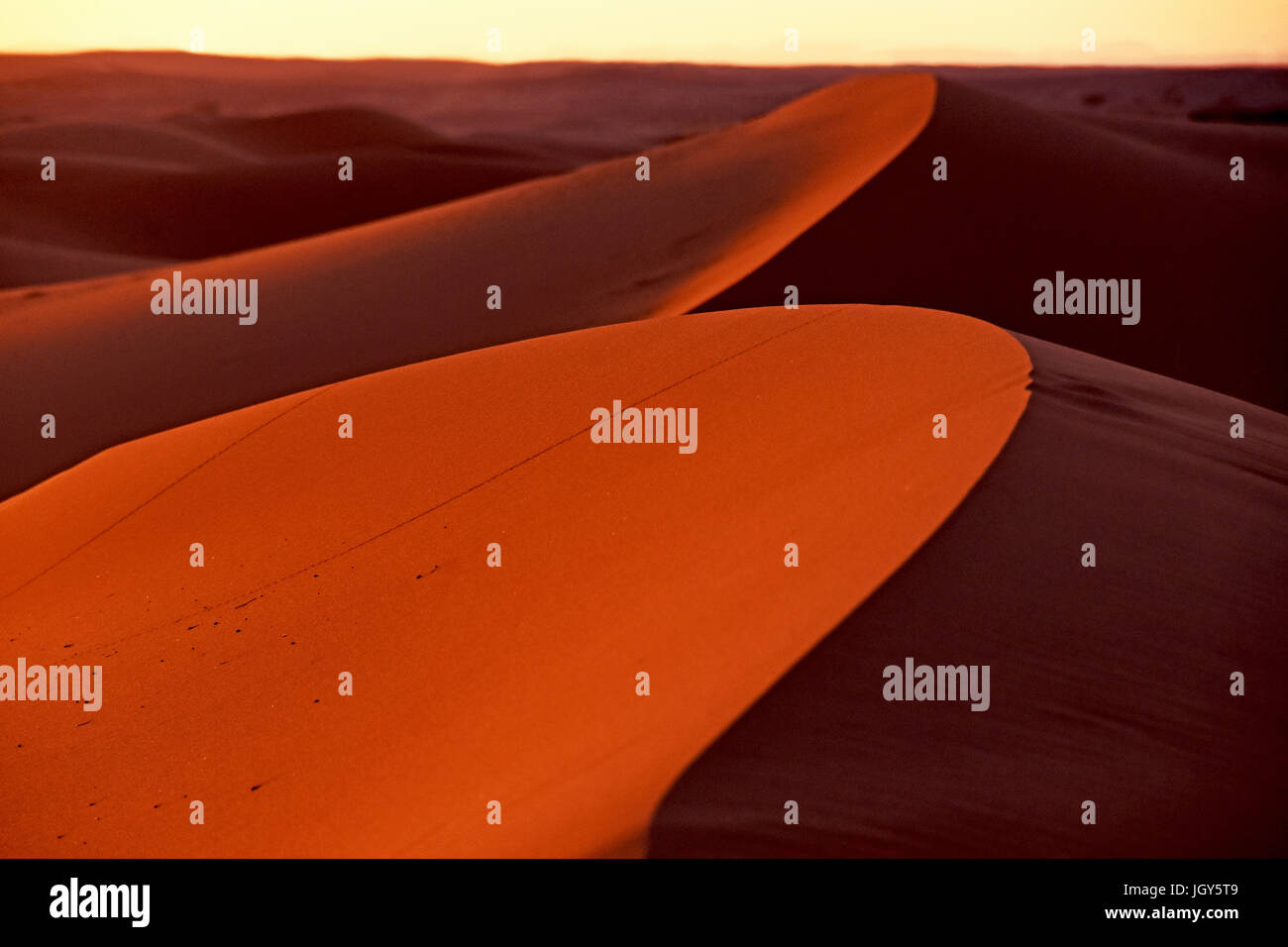 Sahara sand dune at Sunset Stock Photo - Alamy