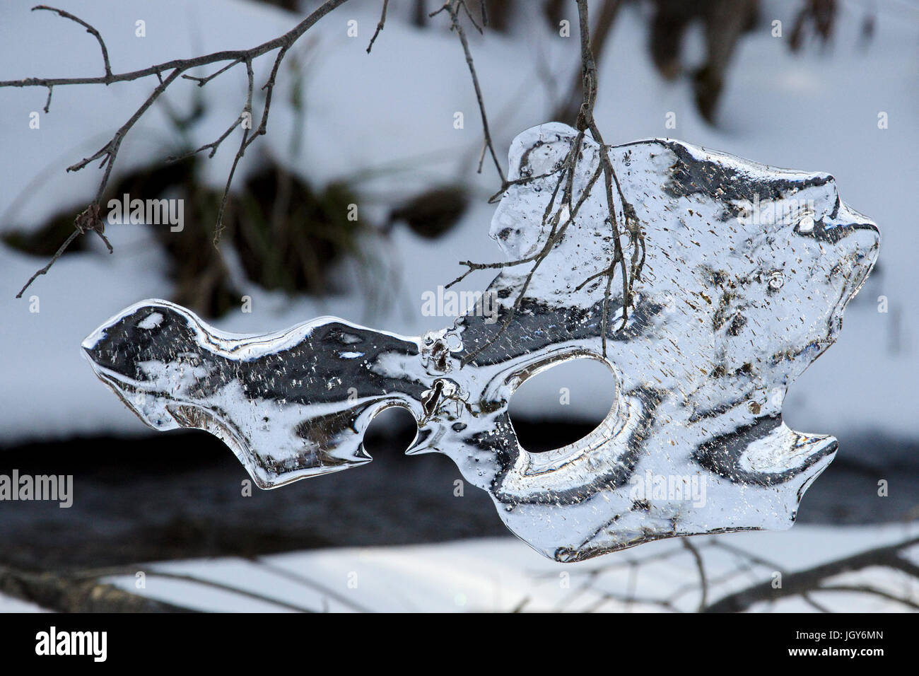 Ice formation hanging from branch by snowy creek Stock Photo - Alamy