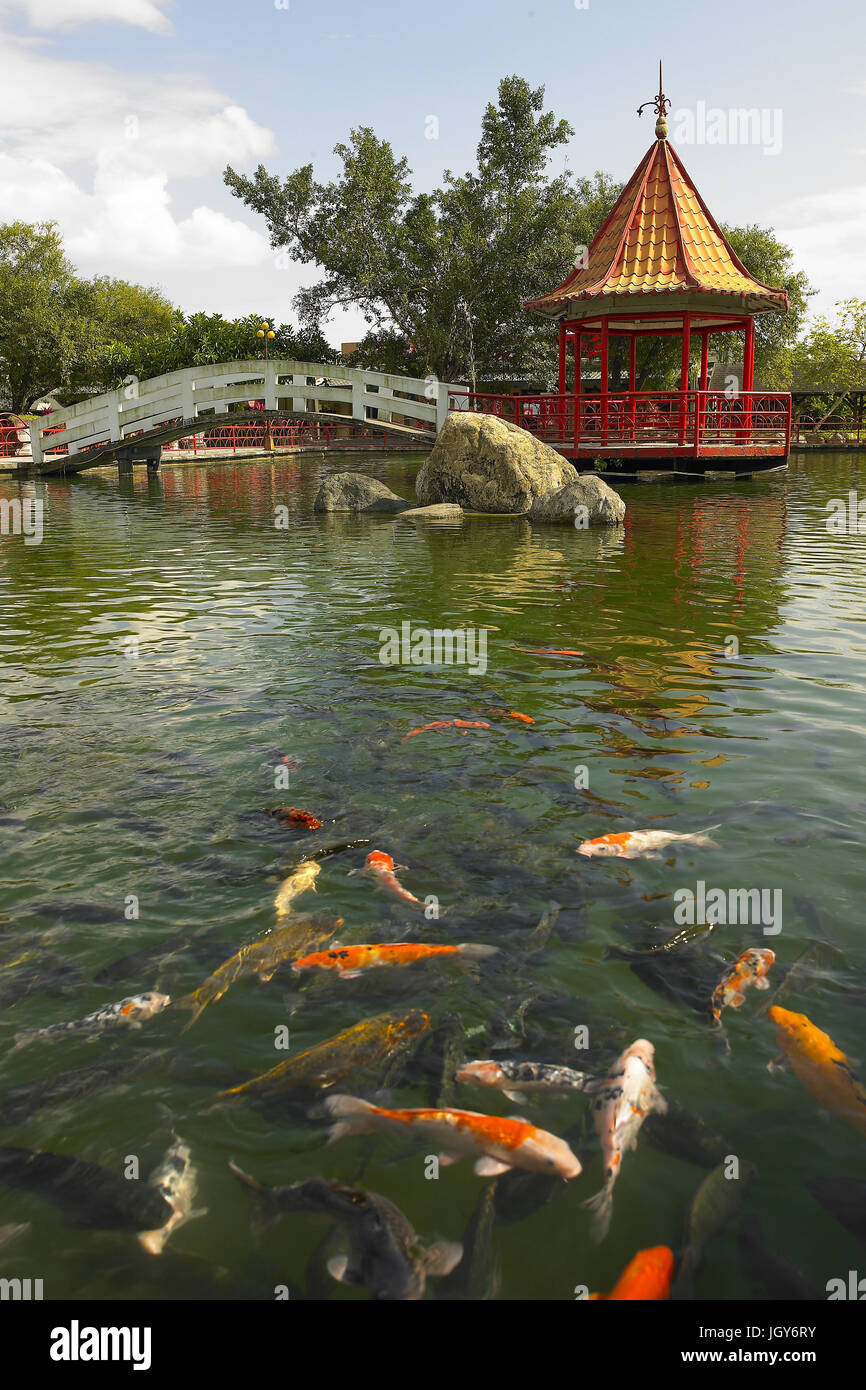 Carp lake taiwan hi-res stock photography and images - Alamy