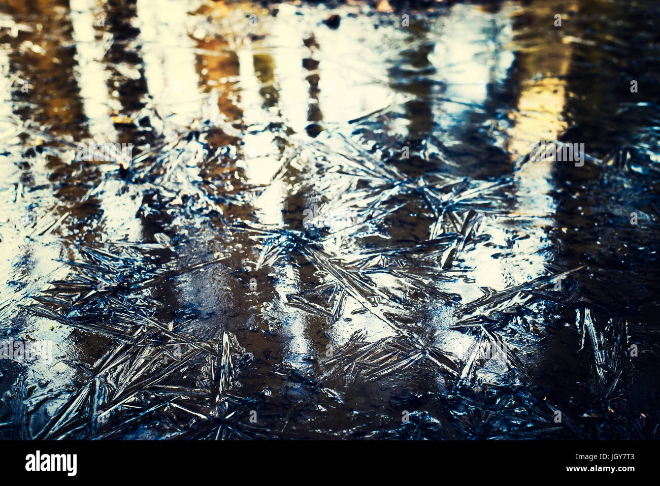 Ice pattern with reflection of trees by sunset Stock Photo - Alamy
