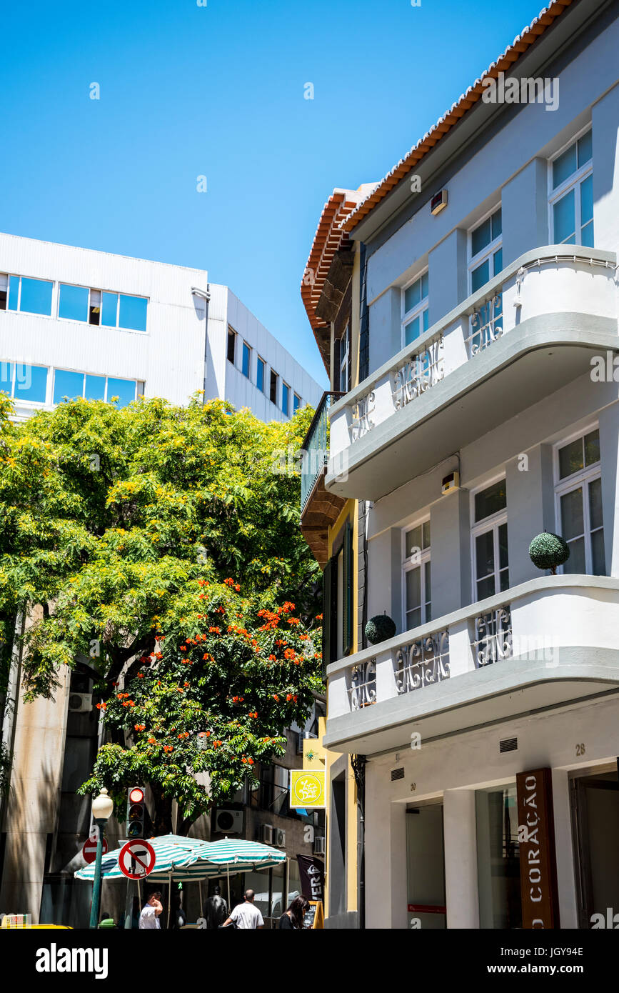 Area around the Regional Governors building in Funchal Madeira Portugal ...