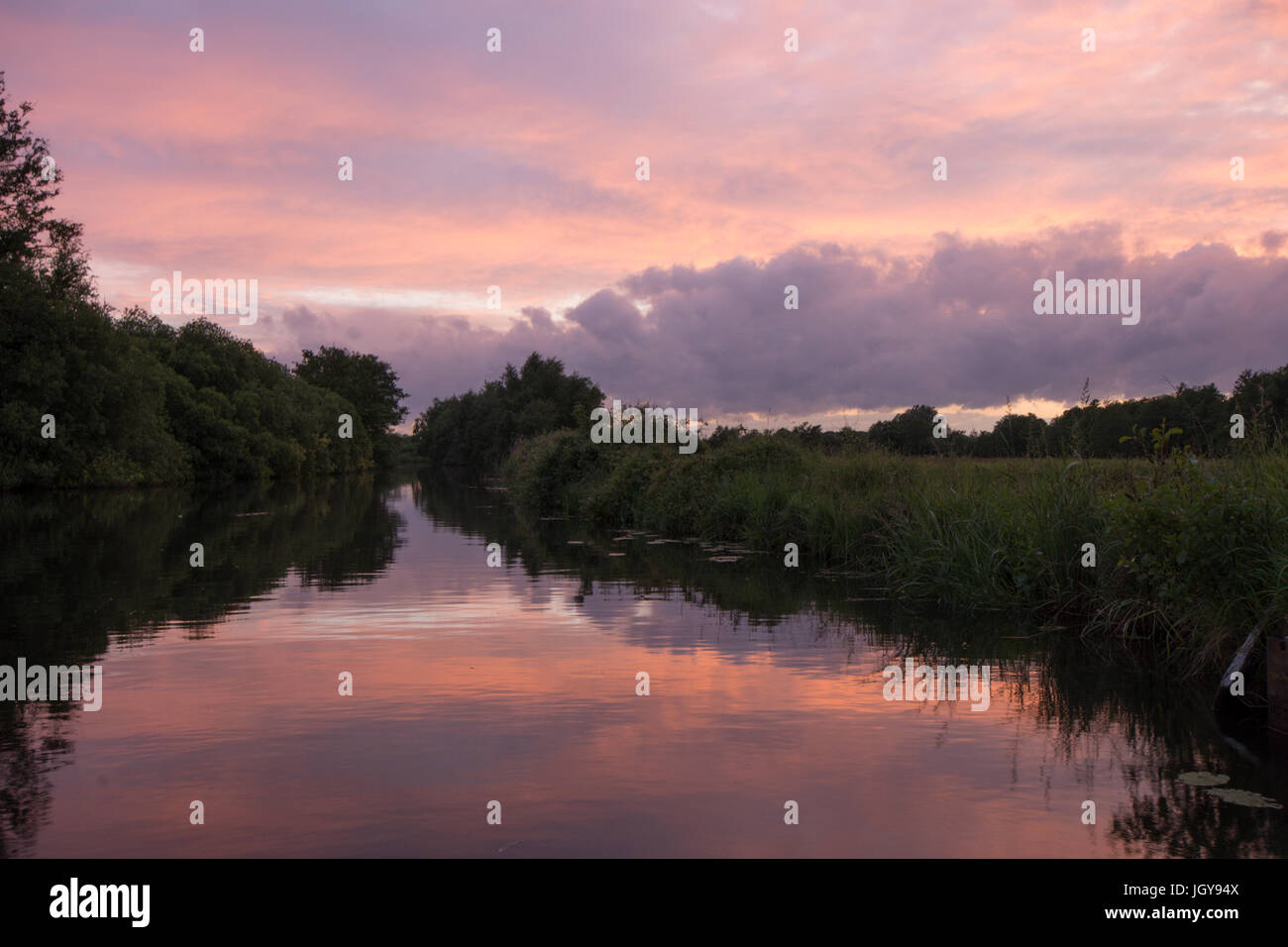 River Ant, Norfolk Broads, UK. June. Sunset Stock Photo - Alamy