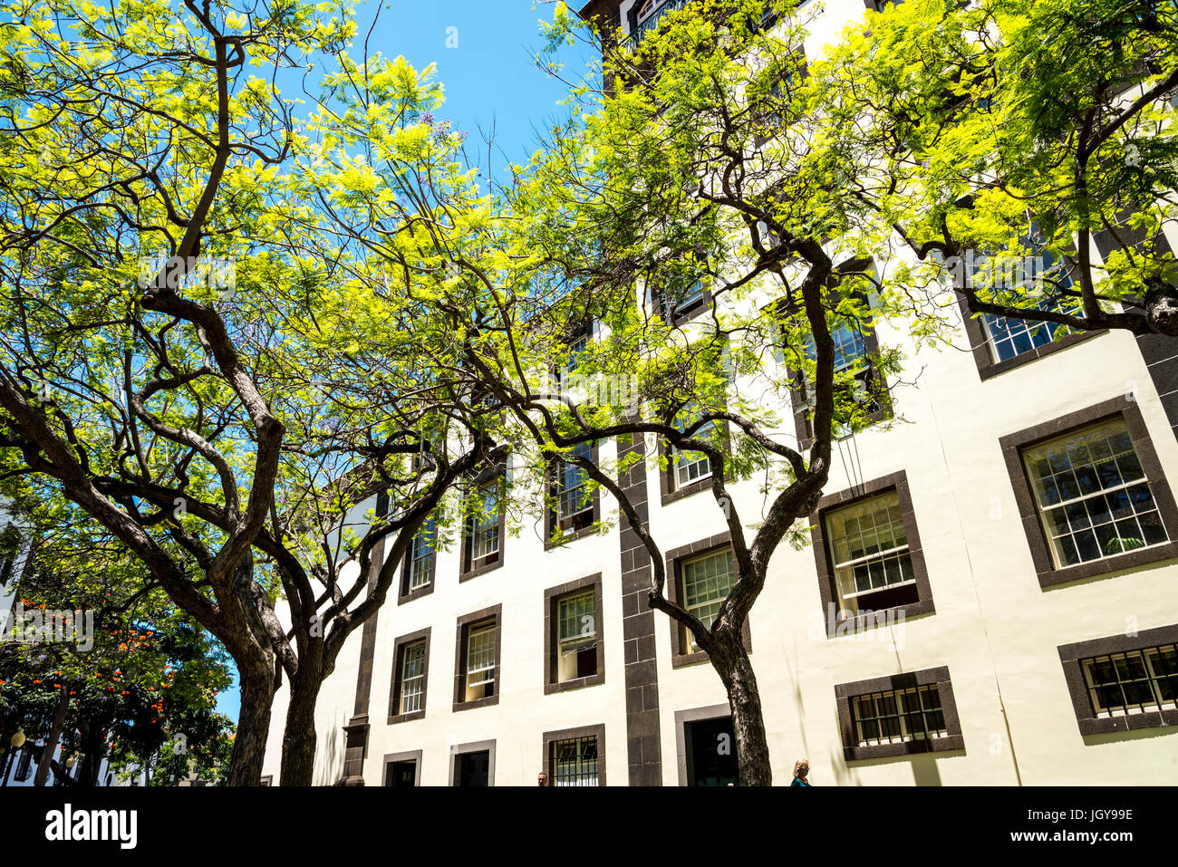 Area around the Regional Governors building in Funchal Madeira Portugal ...