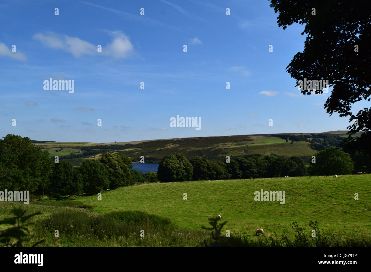 Strines moor hi-res stock photography and images - Alamy