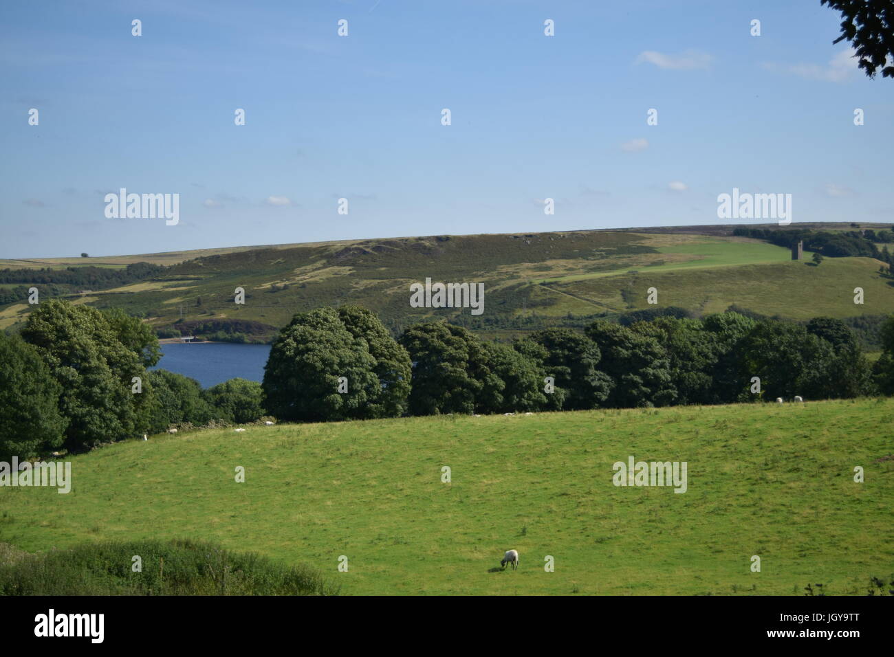 Strines moor hi-res stock photography and images - Alamy