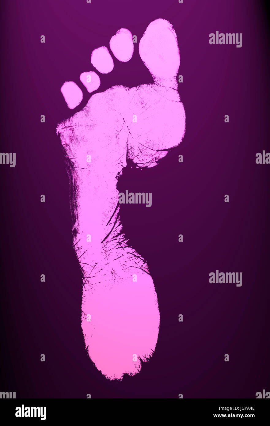 Illustration of human barefoot hi-res stock photography and images - Alamy