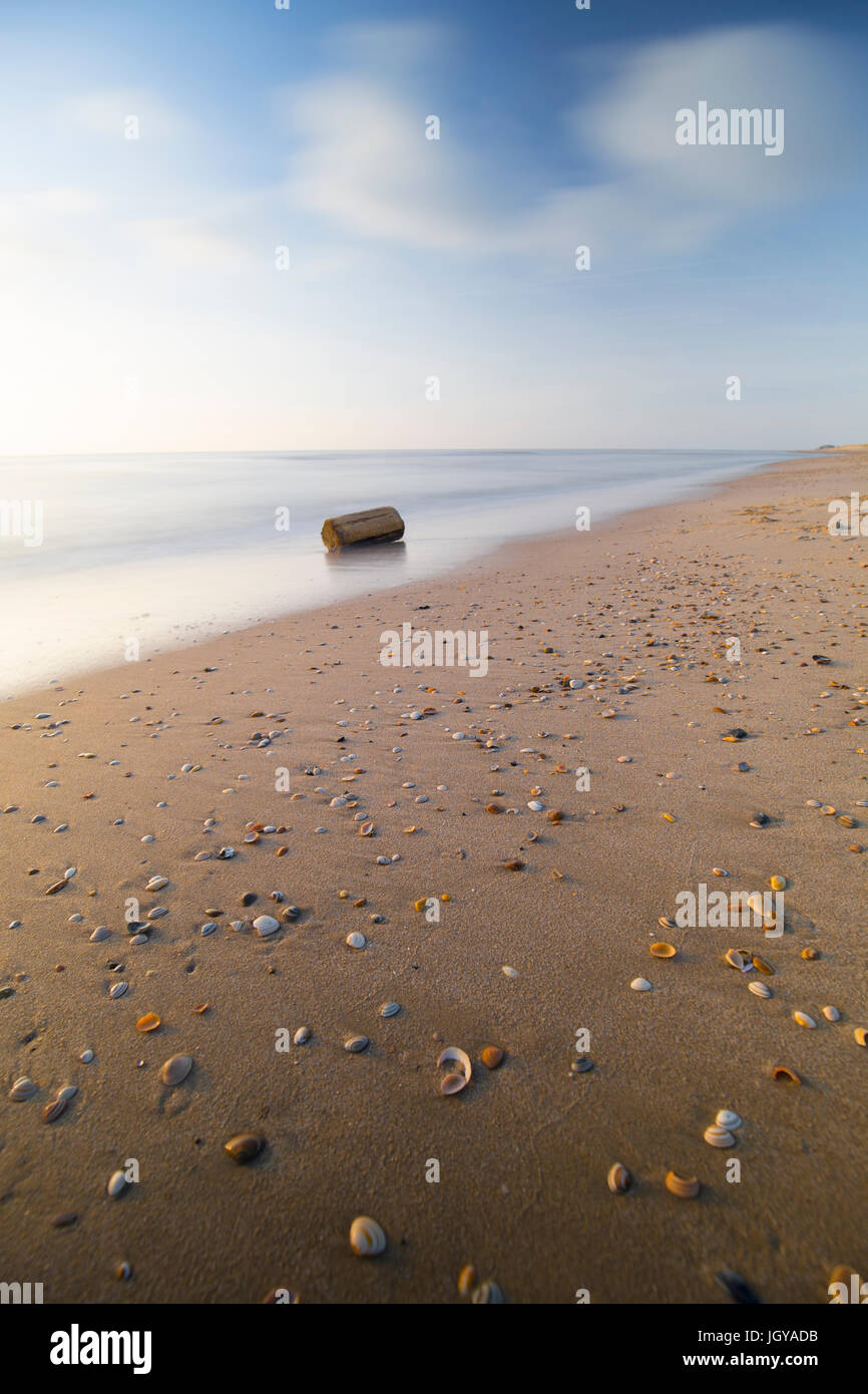 Heart shaped log at the beach Stock Photo - Alamy