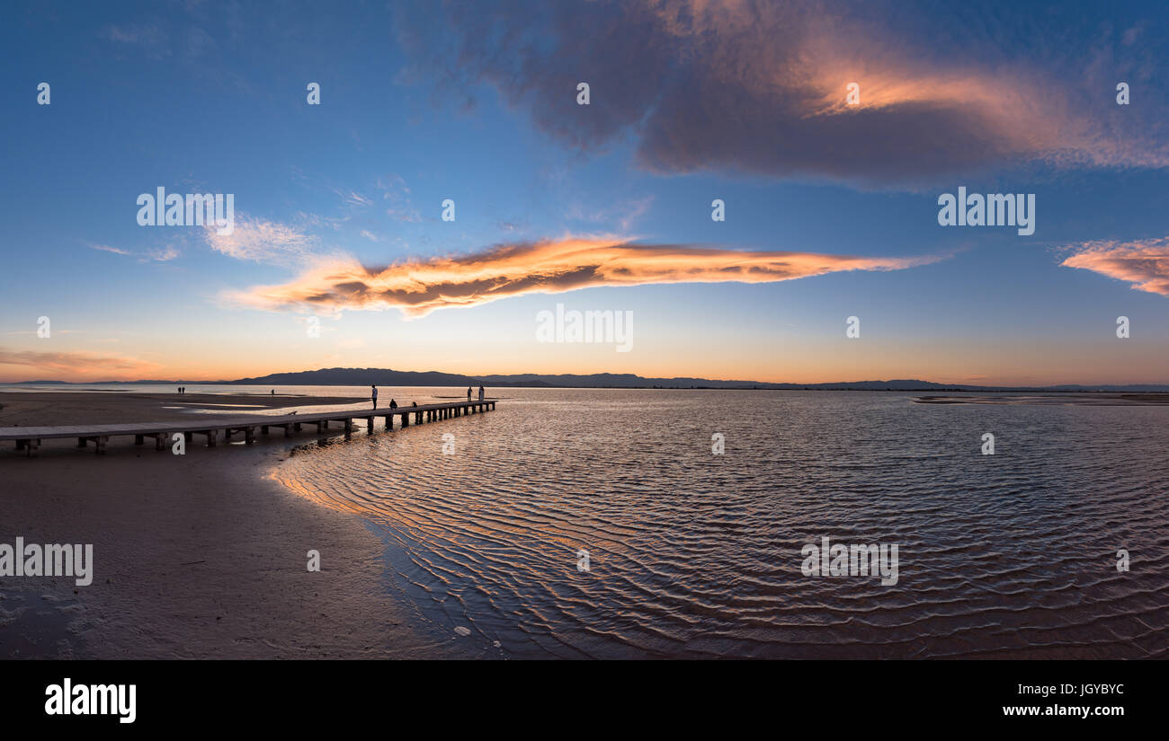 Delta de l’ebre rice hi-res stock photography and images - Alamy
